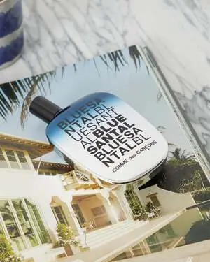 Comme Des Garçons Blue Santal Eau De Parfum | End Clothing
