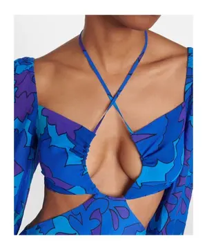 Rixo Printed Georgette Dress
