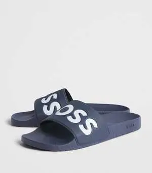 BOSS Logo Slides
