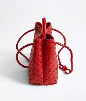 Bottega Veneta Andiamo Bag