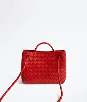 Bottega Veneta Andiamo Bag