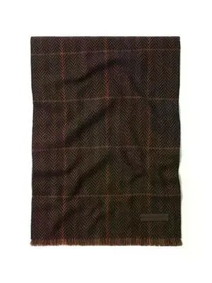 Zegna Oasi Cashmere Scarf - Brown