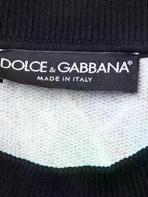 Dolce & Gabbana Bird-print Sweatshirt