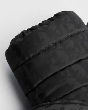 Dior Dioralps Freeze Ankle Boots