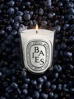 DIPTYQUE Baies Classic Candle 190gr - Multicolour