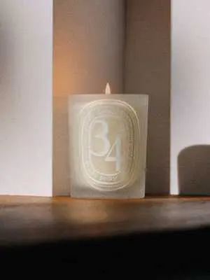 DIPTYQUE 34 Boulevard Saint Germain Candle 300gr - Multicolour