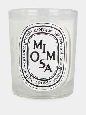 DIPTYQUE Mimosa Classic Candle 190gr