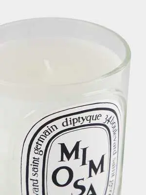 DIPTYQUE Mimosa Classic Candle 190gr