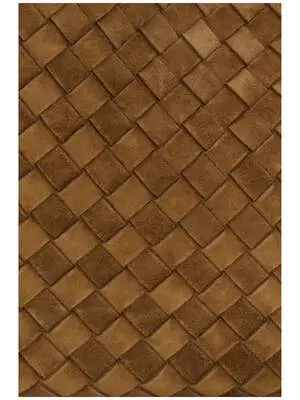 Bottega Veneta Campana Suede Handbag