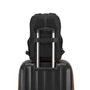 DELSEY PARIS Dlc Pro 15 Laptop Backpack