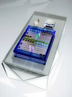 REFLECTIONS COPENHAGEN Amuse Brilliant Backgammon