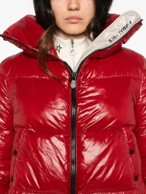 SAVE THE DUCK Isla Puffer Jacket With Lacquer Finish