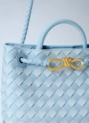 Bottega Veneta Small Andiamo Handbag