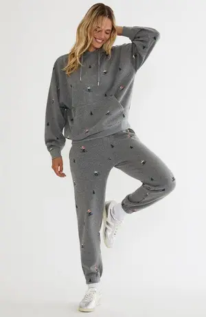 Beach Riot Dess Graphic Hoodie