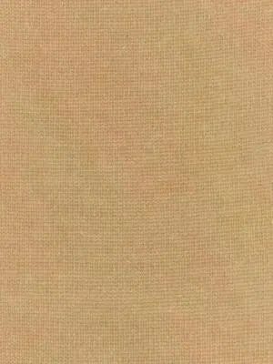 Chloé Crochet-trim Logo-embroidered Scarf