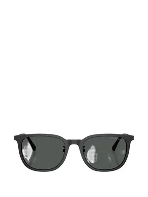 Emporio Armani Asian Fit Acetate Sunglasses