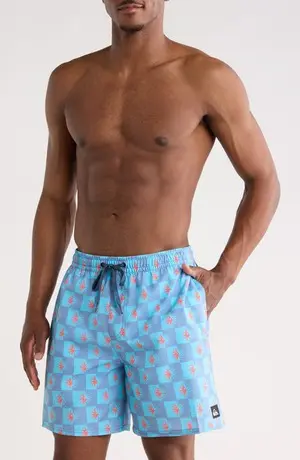 Quiksilver Mix Volley 17" Swim Trunks Infinity