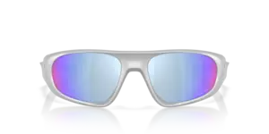 Oakley Neoforma Sunglasses Silver