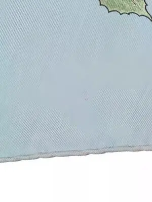 Hermès 2010s Printed Silk Scarf