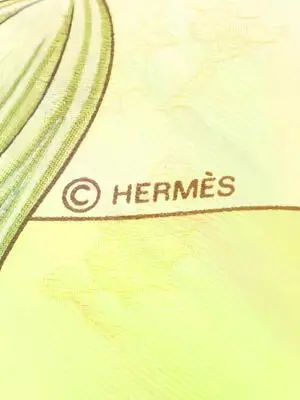 Hermès 2010s Plumes Grelots Scarf