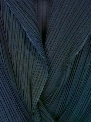 Giorgio Armani Pleated Blouse