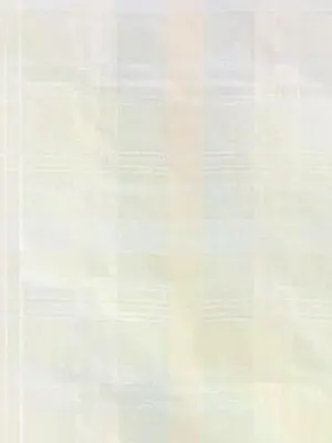 Peserico Plaid Fringed Scarf