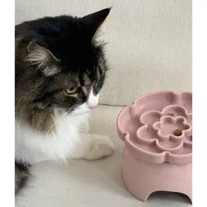 DEXYPAWS Flower Elevated Slow Feeder, Blush