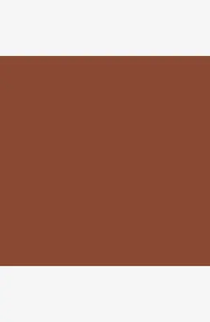 IRO PARIS Embella Leather Belt - Cognac