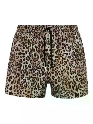 Dsquared2 Leopard-print Swim Shorts - Neutrals