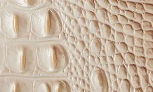 Brahmin Croc-embossed Leather Wristlet