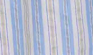 Foxcroft Esther Tie Waist Midi Shirtdress - Blue/multi