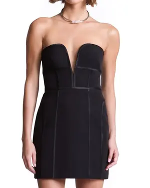 Bcbgmaxazria Julia Mini Dress
