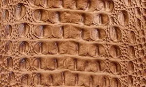 Brahmin Croc-embossed Leather Tote