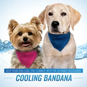 FOUFIT Cooling Bandana