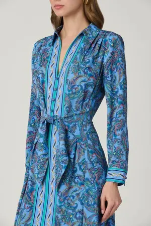 Shoshanna Adair Pelotas Border Paisley Dress