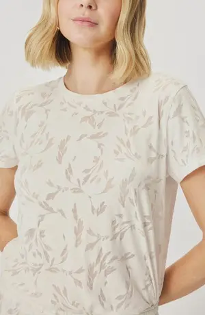 Splendid Air Burnout T-shirt - Shell Windswept