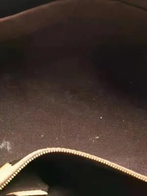 LOUIS VUITTON Brea Mm