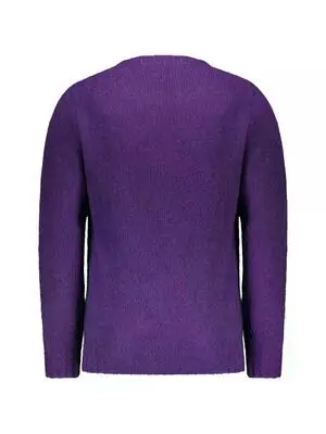 Fedeli Crew-neck Sweater - Purple