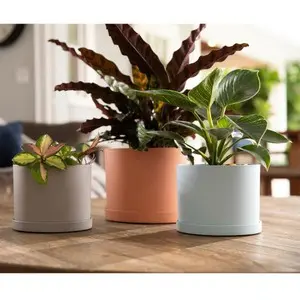 BLOEM Mathers Planter With Saucer Tray 8 Inch Misty