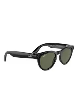 Ray-ban Pantos Frame Sunglasses