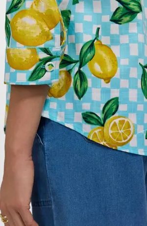 Foxcroft Hampton Lemon Linen Blend Shirt