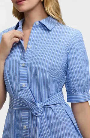 Foxcroft Esther Belted Stripe Cotton Shirtdress