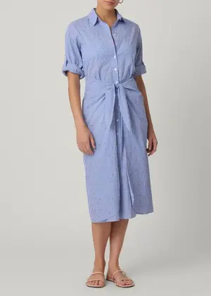 Shoshanna Sheer Day Dresses