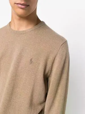 Polo Ralph Lauren Wool Jumper With Embroidered Polo Pony - Brown