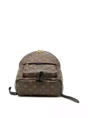 LOUIS VUITTON Monogram Palm Springs Pm Backpack - Brown