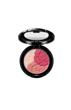 Anna Sui Rose Face Color Passion Amour Bouquet 04