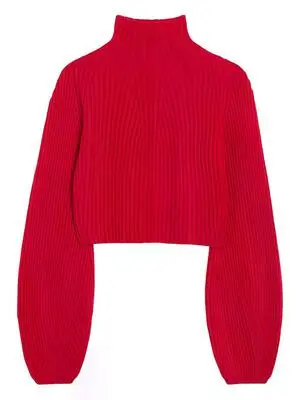 Sportmax Marmo Ribbed Turtleneck Sweater