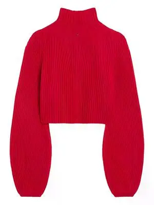 Sportmax Marmo Ribbed Turtleneck Sweater