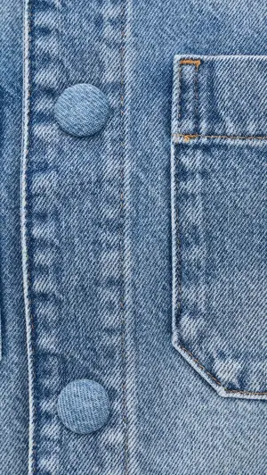 FRAME The Small Denim Jacket