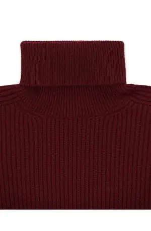 FORTELA Brighton High Neck Jumper - Burgundy